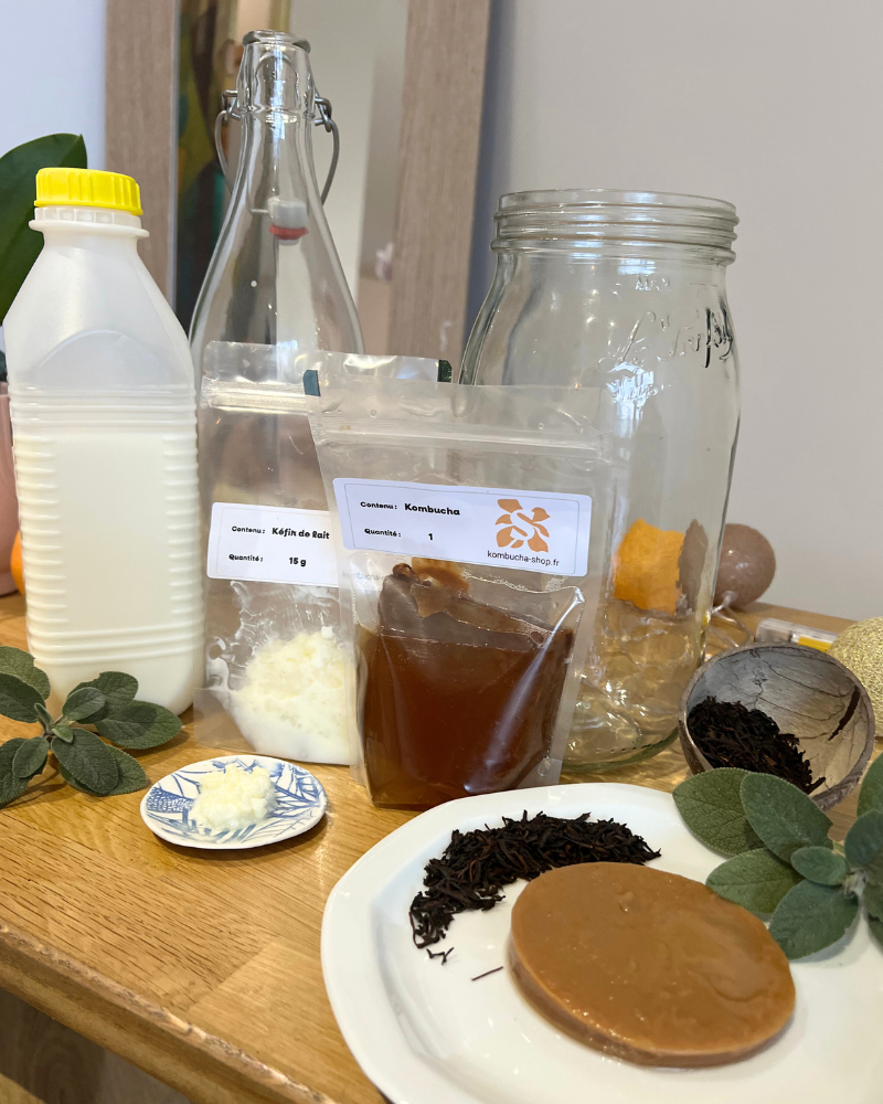 Mère de Kombucha : 100% Bio pour fermentation maison